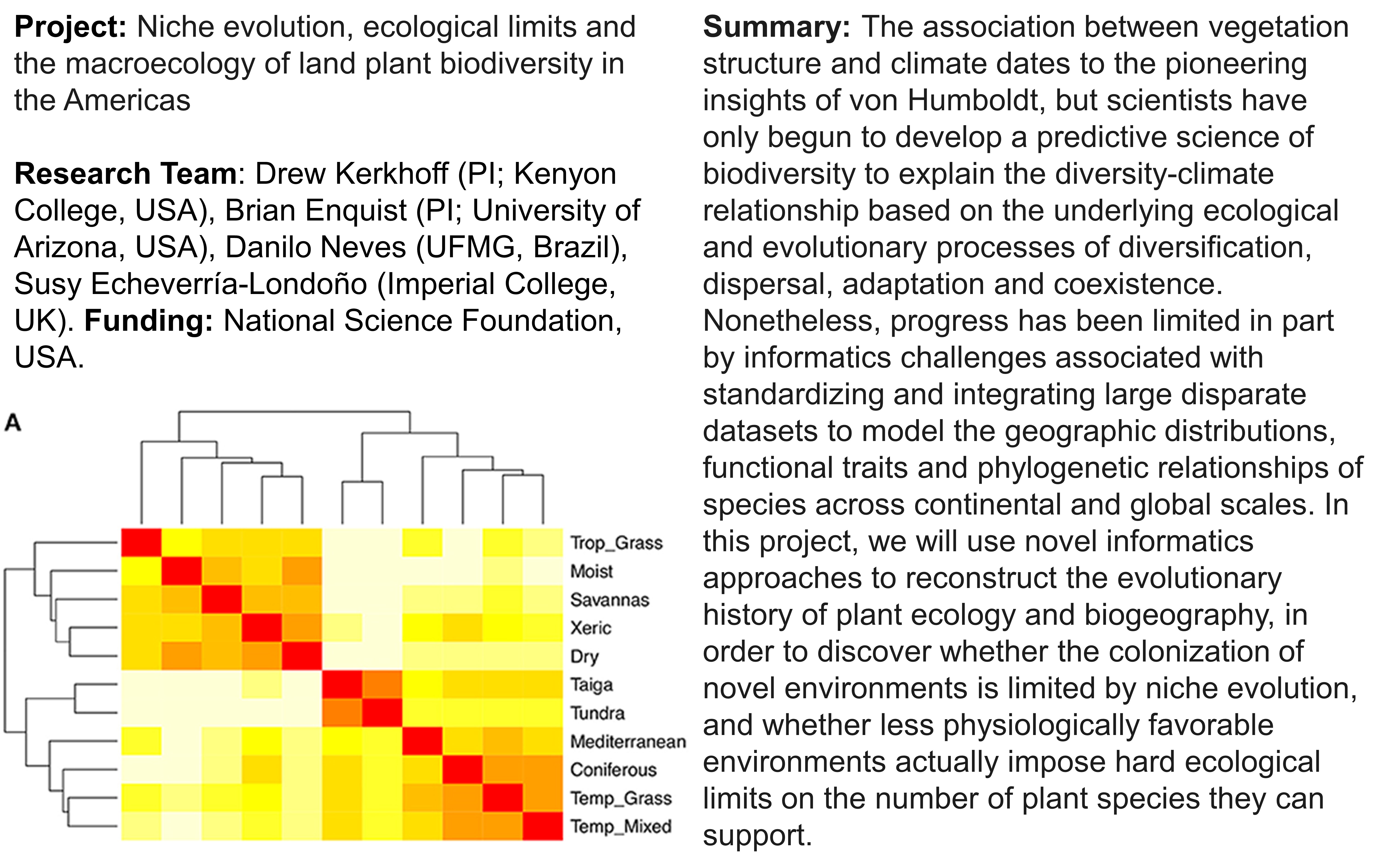 Projects – Macroecology Lab